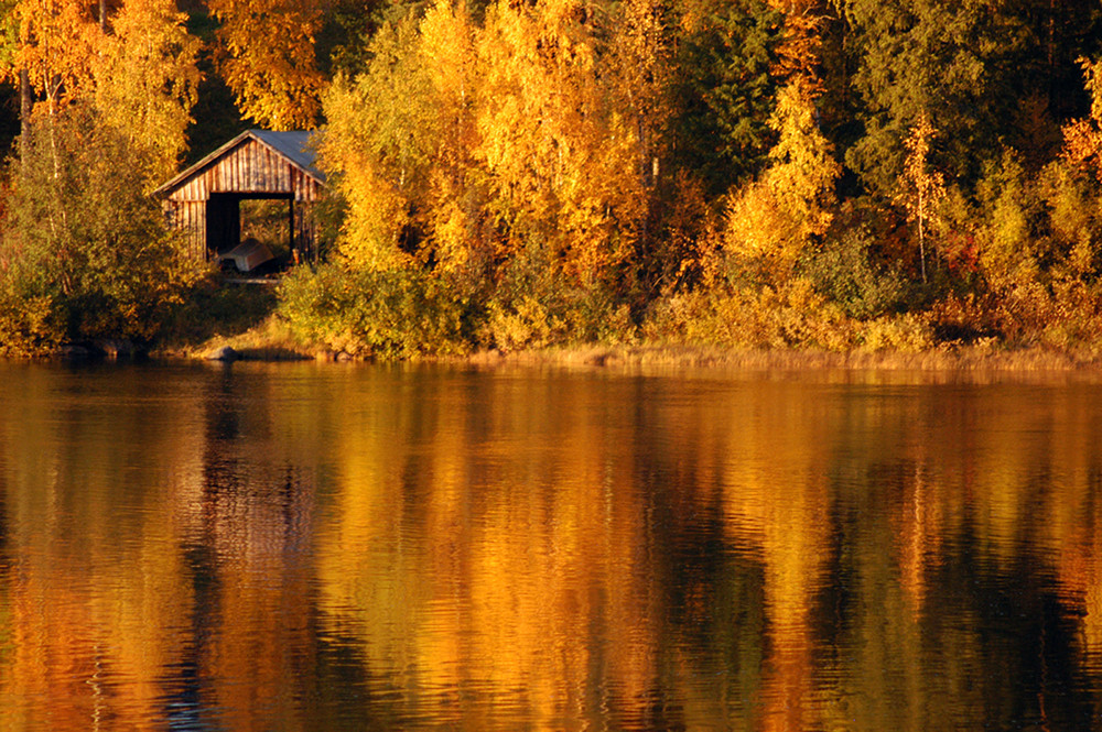 lapin ruska Foto & Bild | europe, scandinavia, lappland sápmi Bilder ...