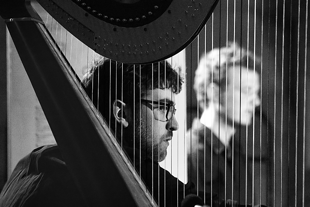 L'arpa Foto % Immagini| fotografia e musica, folklore,feste,sagre, temi ...