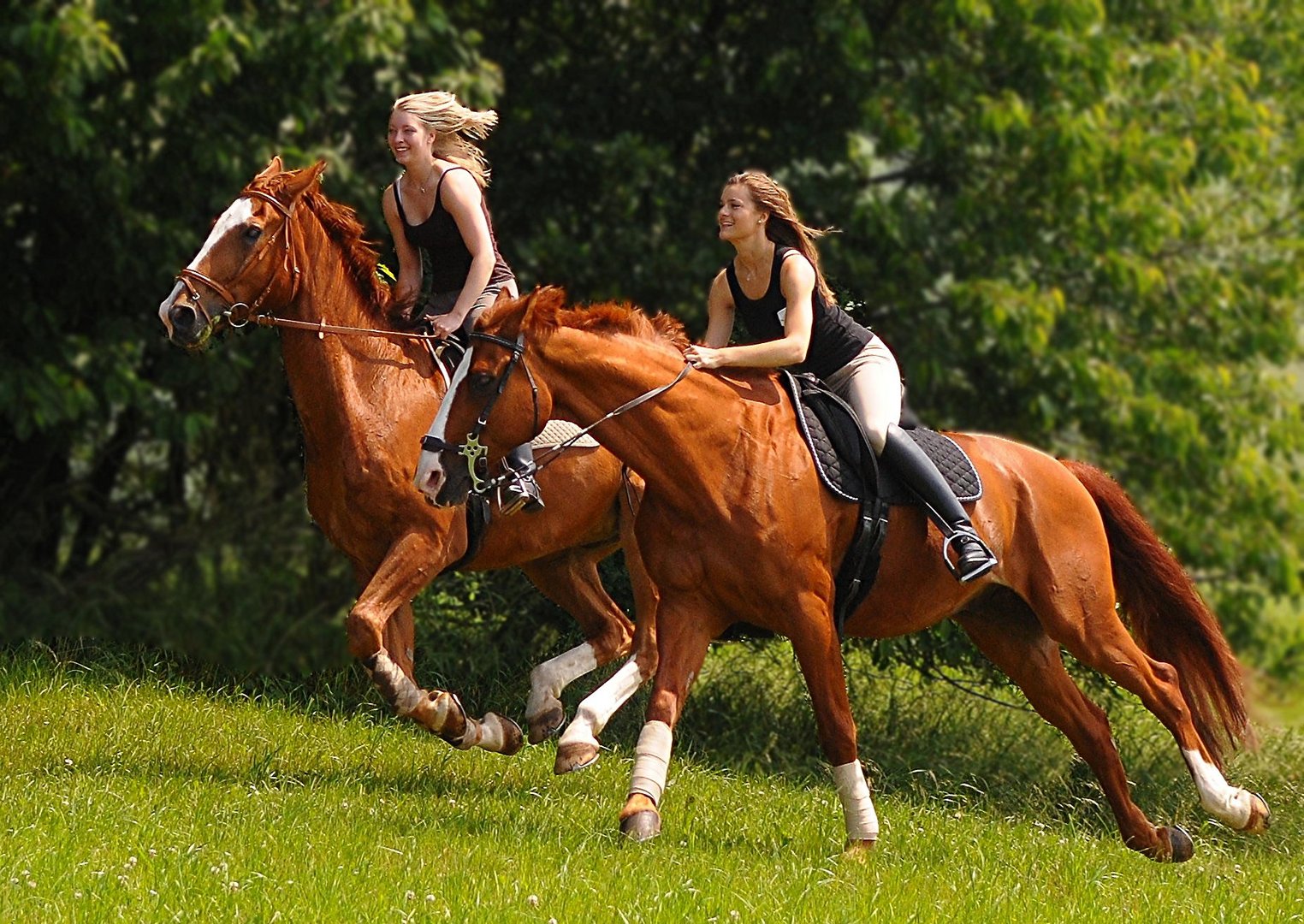 lass die Fetzen fliegen Foto & Bild | outdoor, pferde, menschen Bilder ...