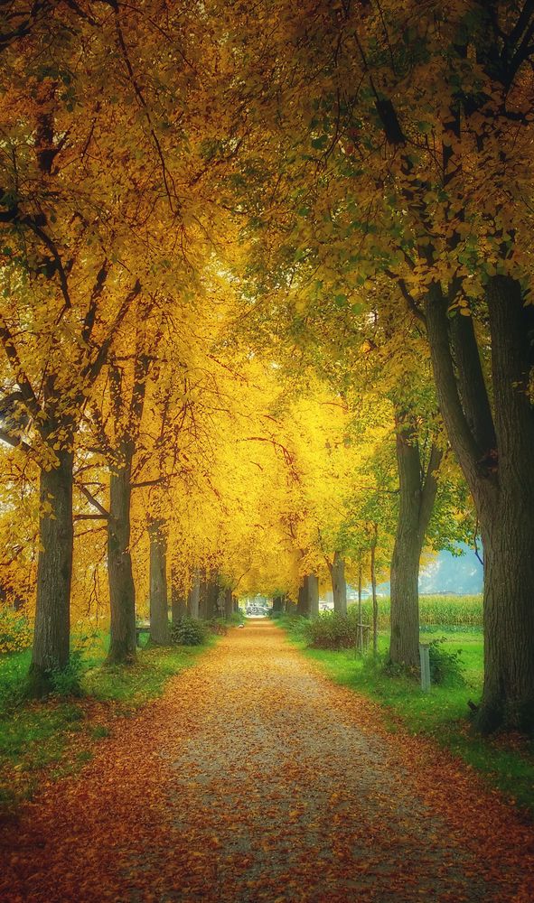 last day in September ... Foto & Bild | outdoor, natur, herbst Bilder ...