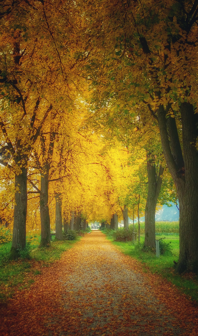 last day in September ... Foto & Bild | outdoor, natur, herbst Bilder ...