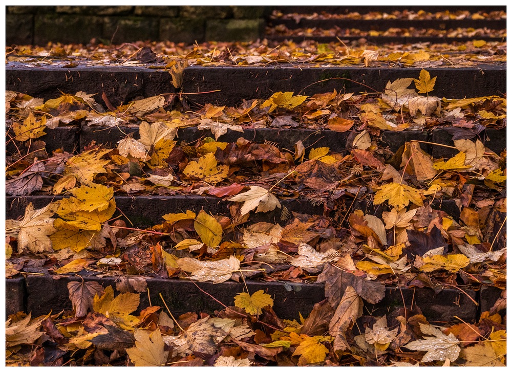 Laub auf den Stufen Foto & Bild | rund um wülfrath Bilder auf fotocommunity