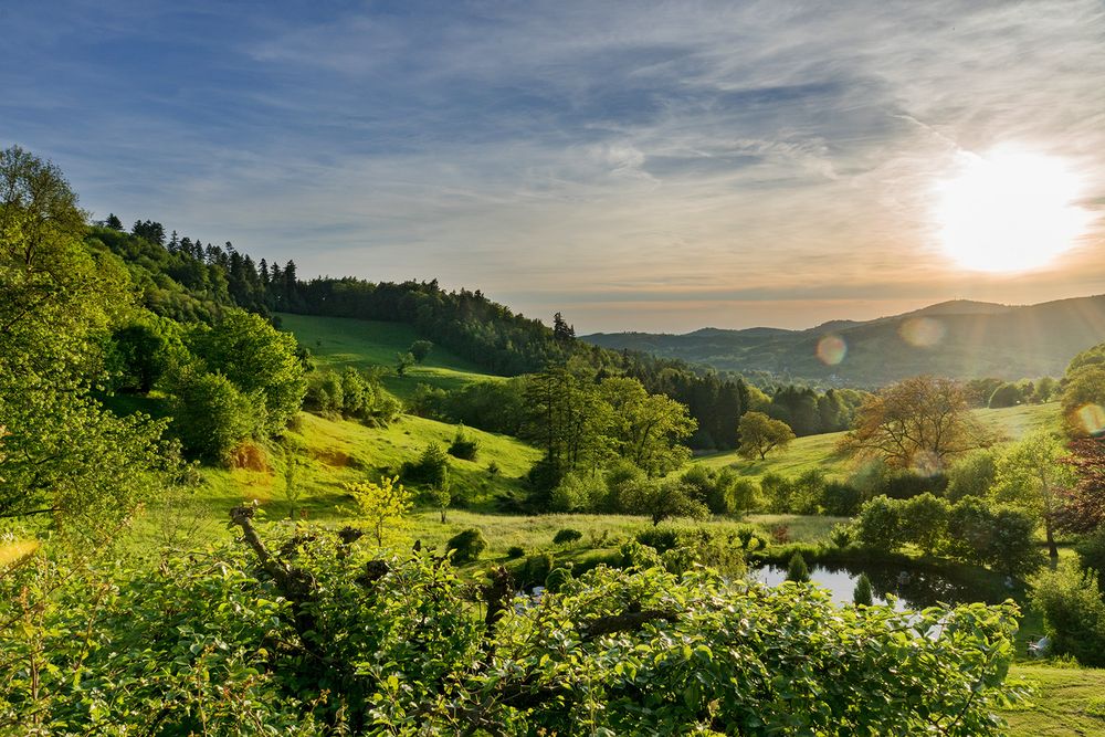 Lautertal (Odenwald) Foto & Bild | archiv projekte naturchannel ...