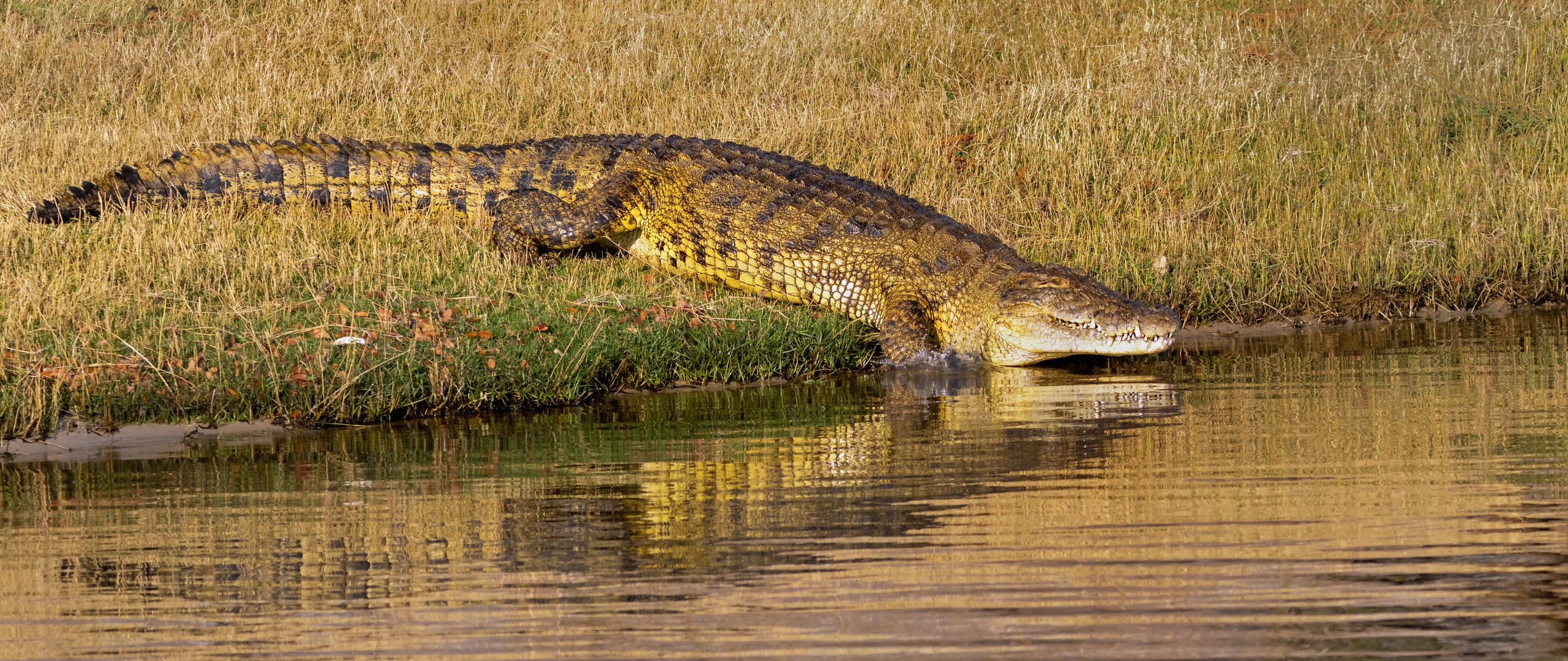 Lautlos... Foto & Bild | nature, natur, fluss Bilder auf fotocommunity
