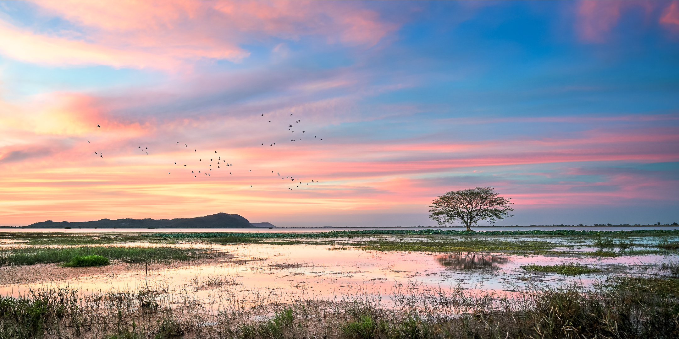 lautlos Foto & Bild | world, spezial, bäume Bilder auf fotocommunity