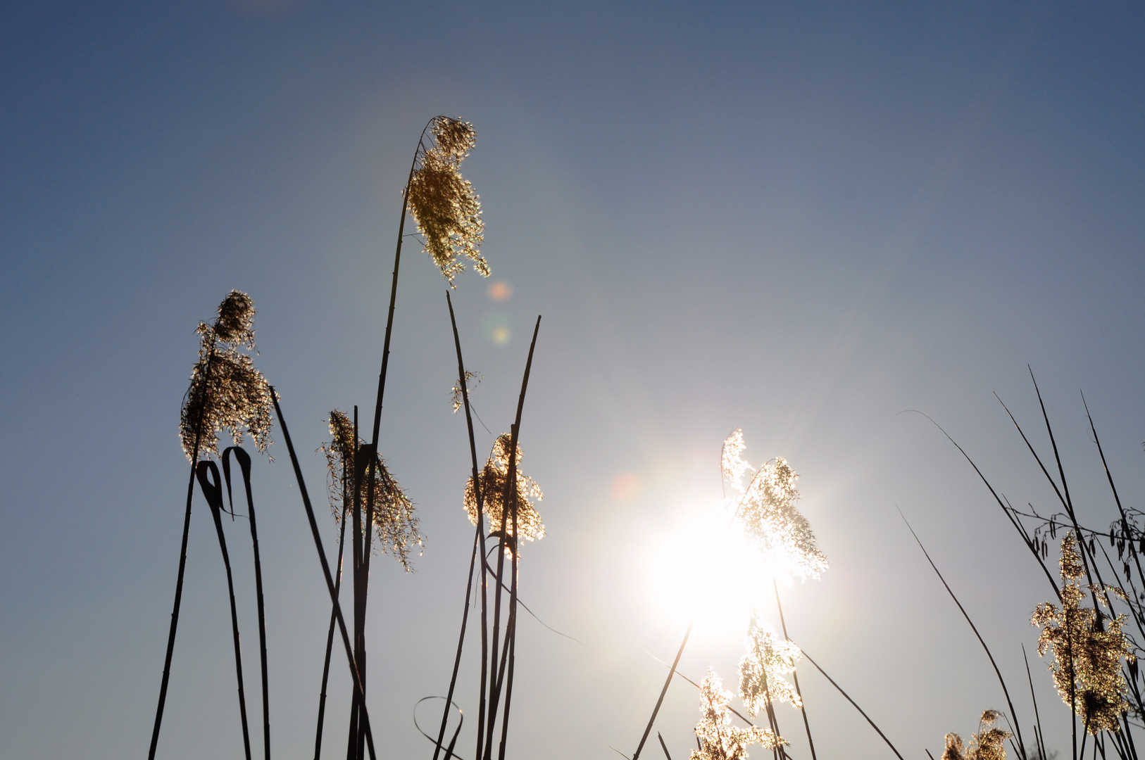 Lazy Sunday Afternoon Foto & Bild | north america, united states, north ...