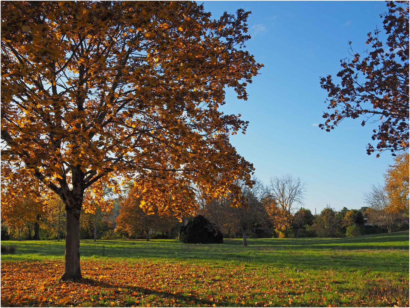 Le bel automne gersois photo et image | park, herbst, landschaft Images ...