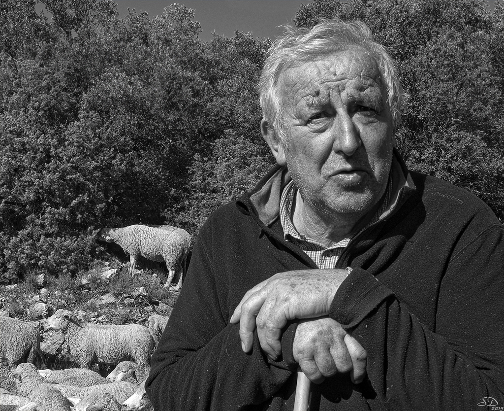 Le Berger . photo et image | portraits, portraits au masculin, etoiles ...