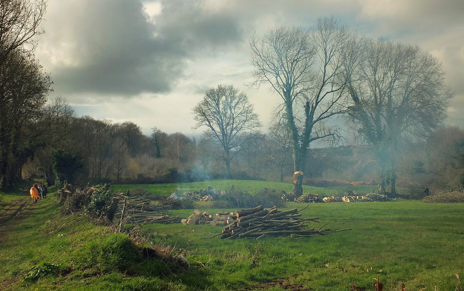 Le Bocage photo et image | les saisons, hiver, nature Images fotocommunity
