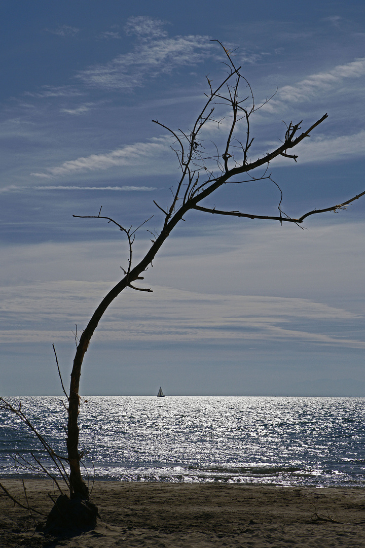 Le calme après la tempête photo et image | nature, landschaft Images ...