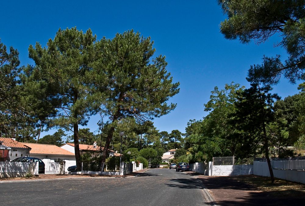 Le calme d’une des allées de Ronce-les-Bains -- Eine ruhige Allee in ...