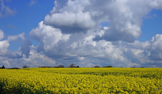 Paysages de campagne Images & Photos