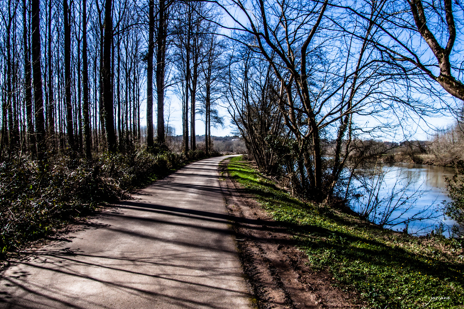 LE CHEMIN DE HALAGE photo et image | nature, paysage, arbre Images ...