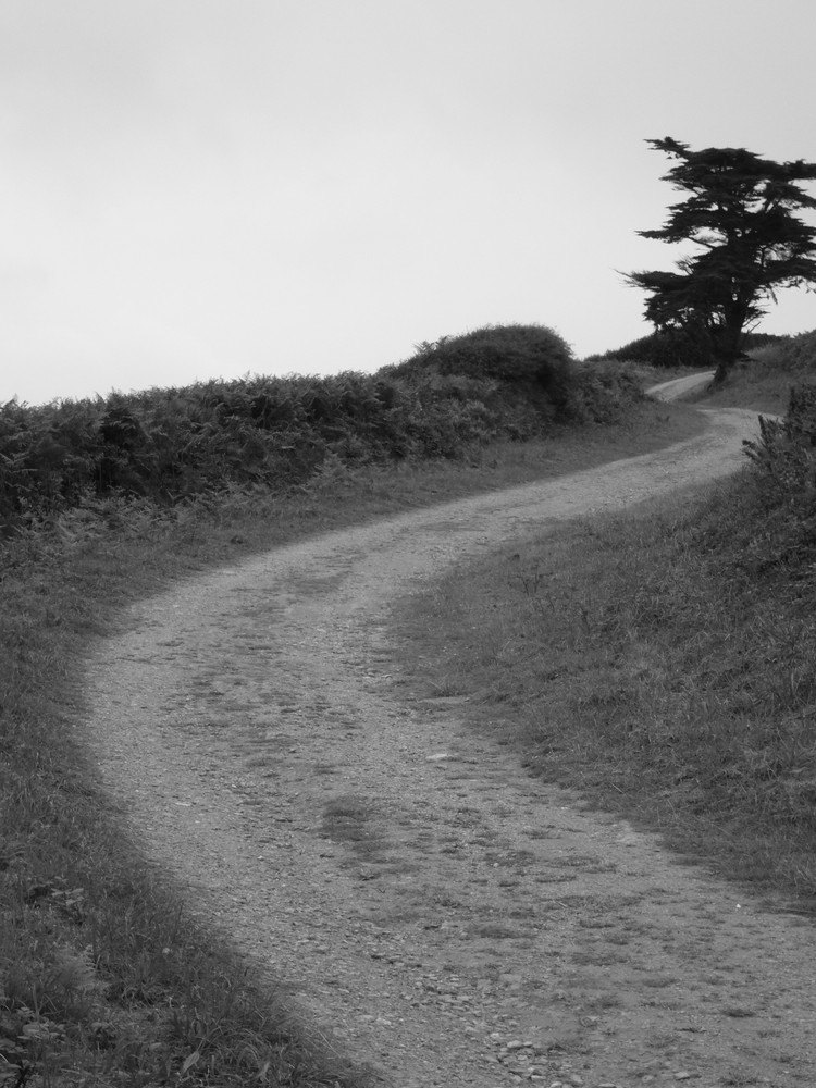 le chemin photo et image | paysages, nature Images fotocommunity