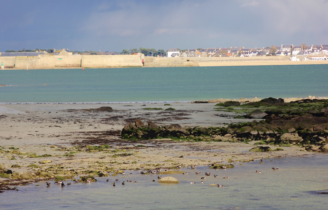 Le chenal photo et image | paysages, nature Images fotocommunity