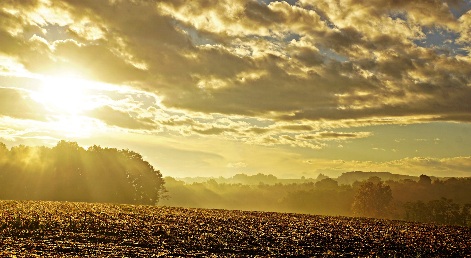 Le ciel, ce matin.... photo et image | paysages, ciel, nuages, nature ...
