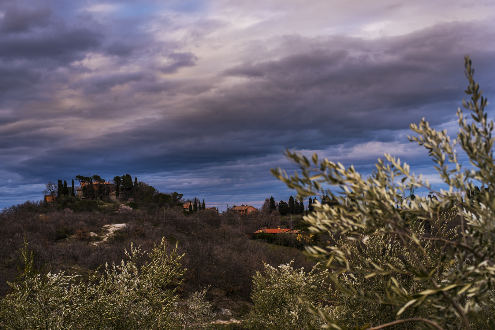 Le colline Bolognesi Foto % Immagini| paesaggi, campagna, fotos Foto su ...