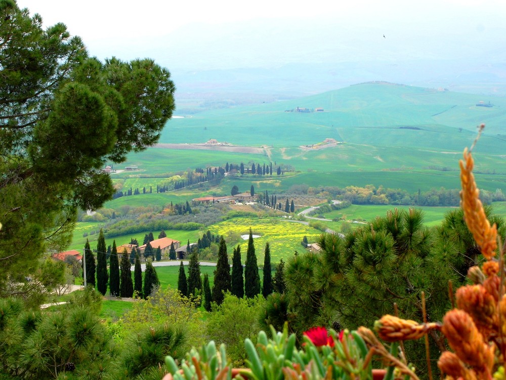 LE COLLINE DELLA TOSCANA Foto % Immagini| paesaggi, campagna, natura ...