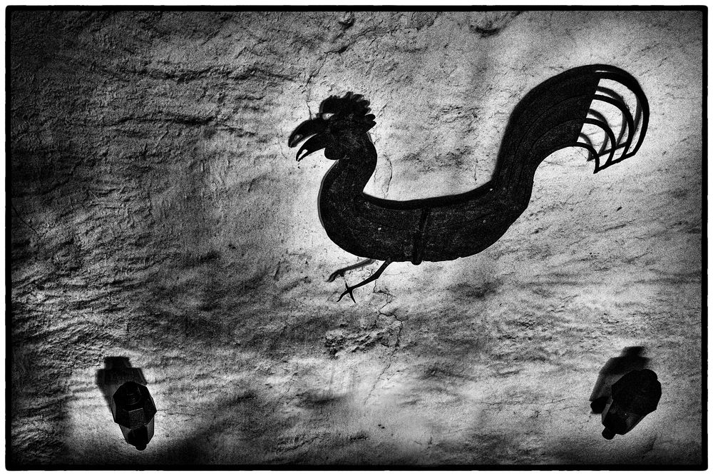 Le coq est mort Foto & Bild | auffindbarkeit gleich null, spezial ...