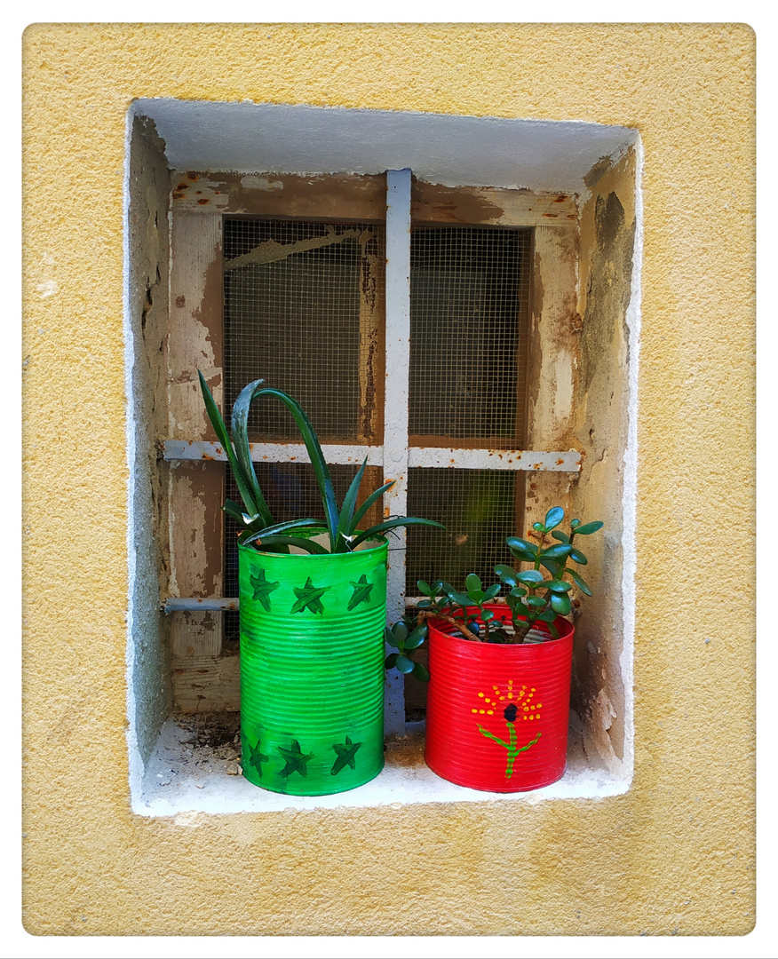 Le fenestron photo et image | nature morte, animations photographiques ...