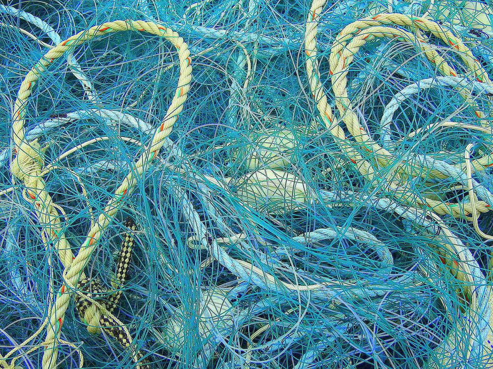 Le Filet bleu .... photo et image | animations photographiques ...