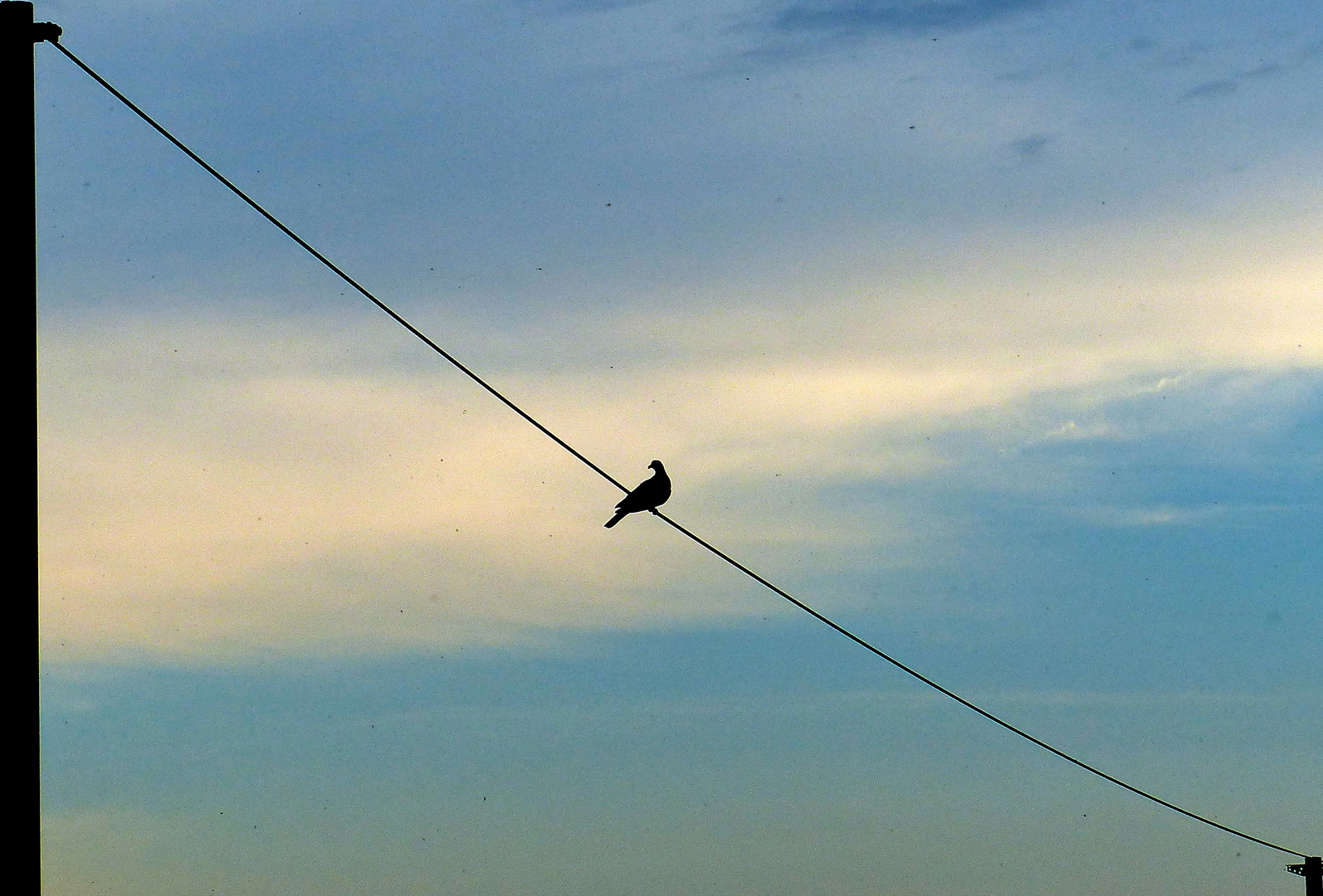 Le funambule photo et image | nature, insolite Images fotocommunity