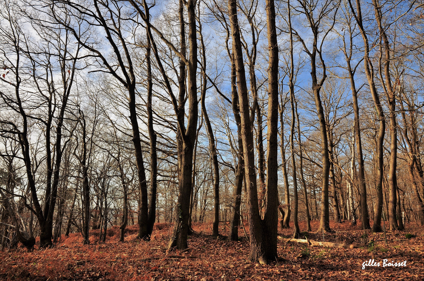 le grand dénuement photo et image | paysages, paysages de campagne, les ...