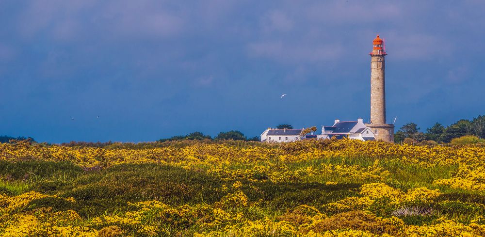 Le Grand Phare photo et image | france, world, bretagne Images ...