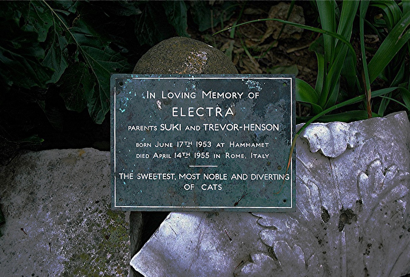 LE JARDIN SECRET D'HAMMAMET La tombe du chat des Hanson photo et image ...