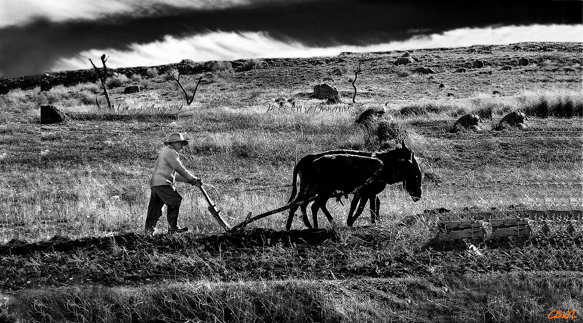 Le laboureur photo et image | animations photographiques, un jour - une ...