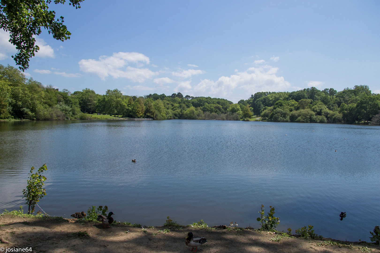 Le Lac Marion à Biarritz photo et image | paysages, lacs, rivières ...