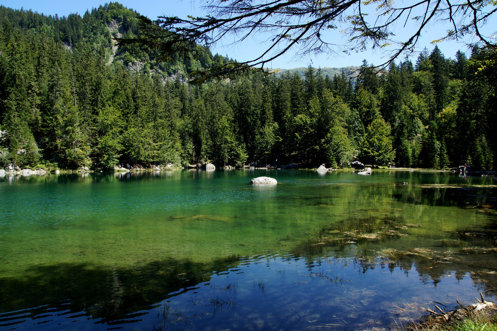 le lac vert photo et image | paysages, paysages de montagne, les alpes ...