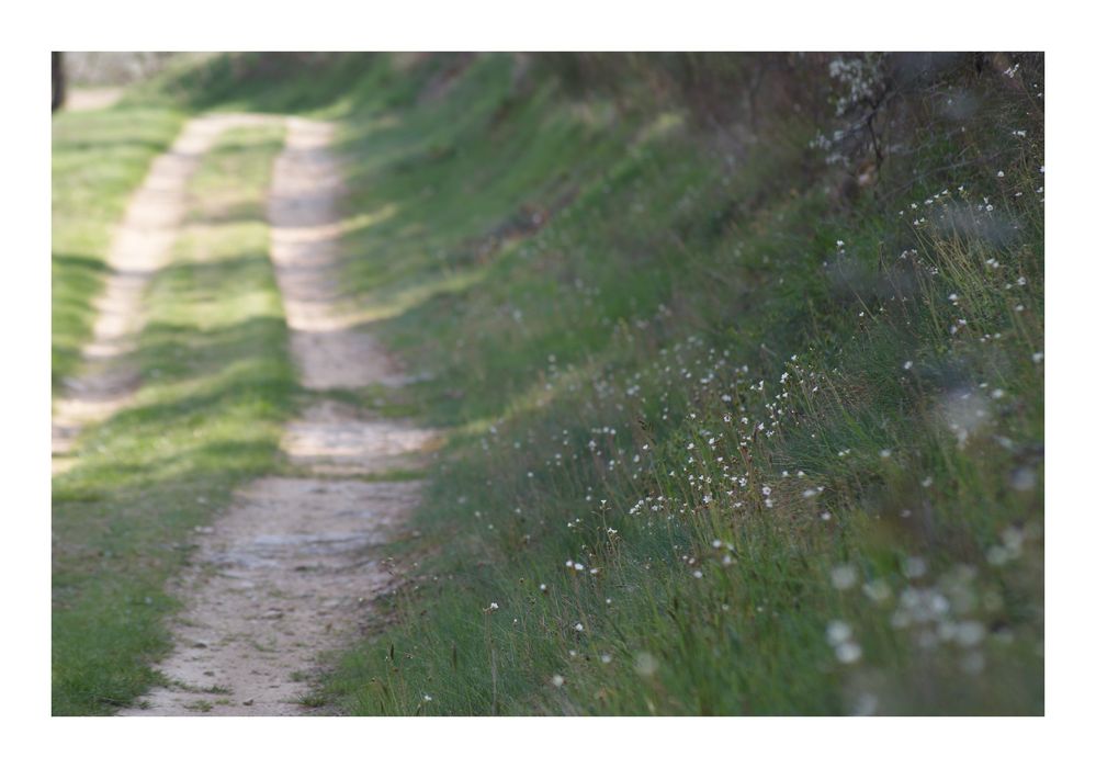 Le long du chemin photo et image | divers, la nature simplement, nature ...