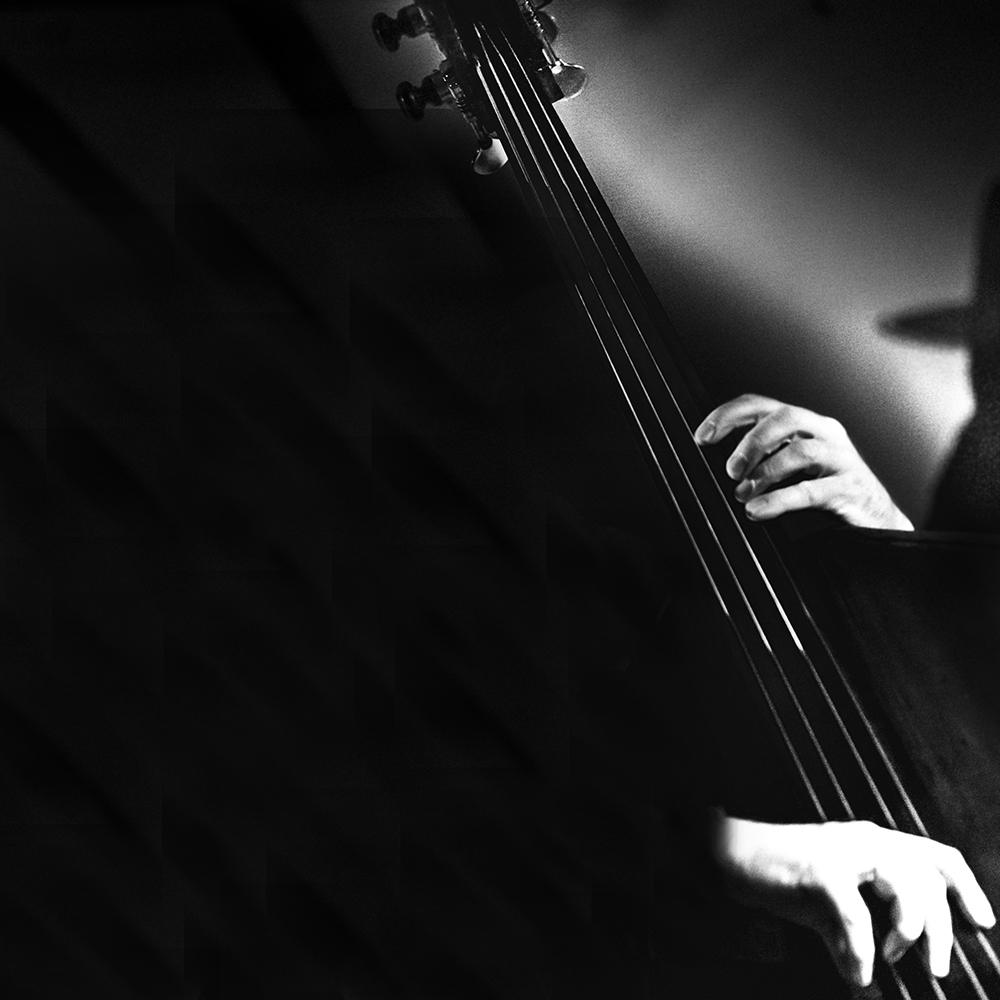 LE MANI DELLA MUSICA / HANDS OF MUSIC Foto % Immagini| fotografia e ...