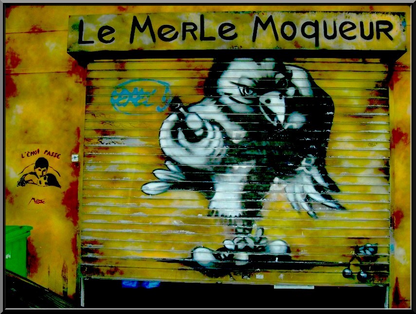 "Le Merle moqueur"... photo et image | france, paris, world Images ...