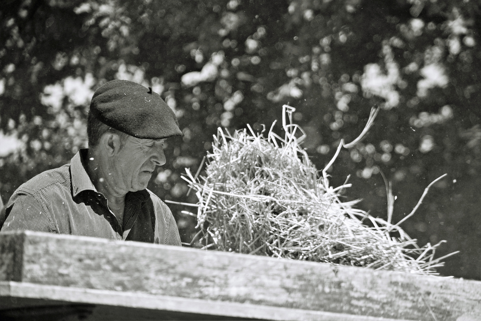 Le moissonneur.... photo et image | portraits, portraits au masculin ...