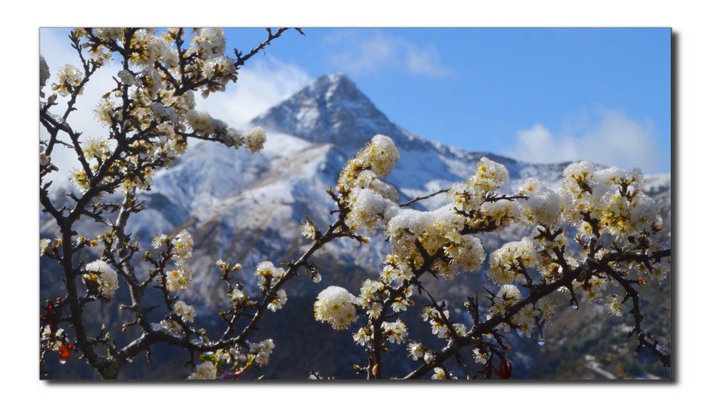 * Le Mourre de Chanier * photo et image | paysages, paysages de ...