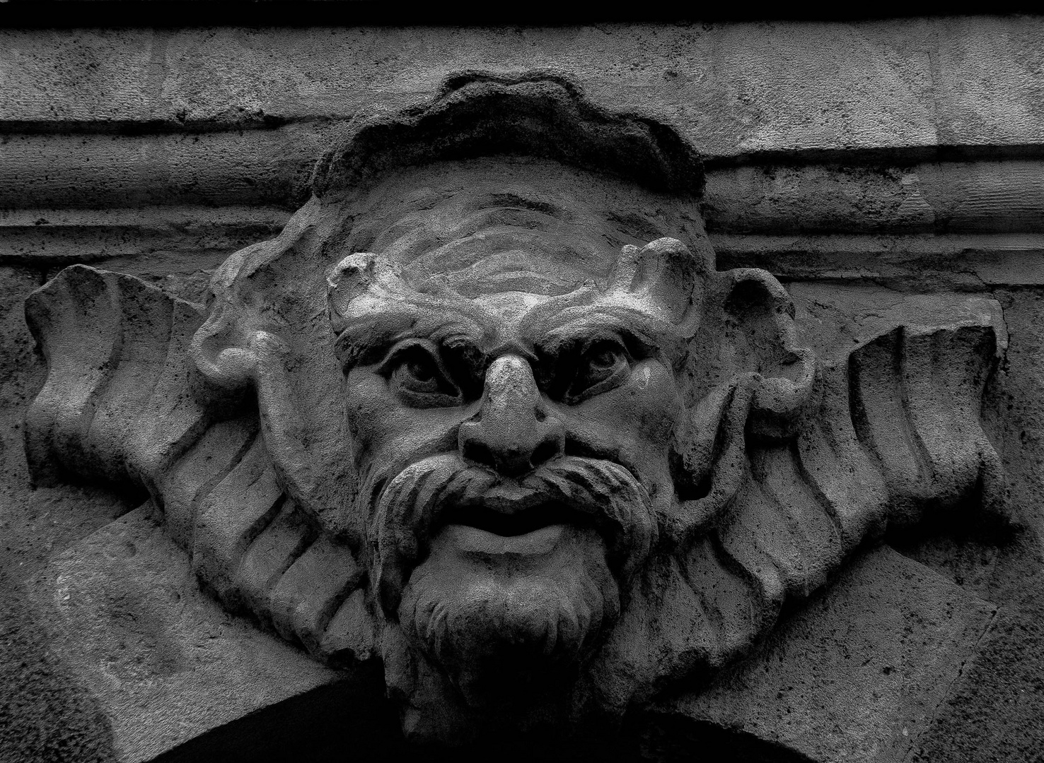 le moustachu du Quai Turenne photo et image | animations ...