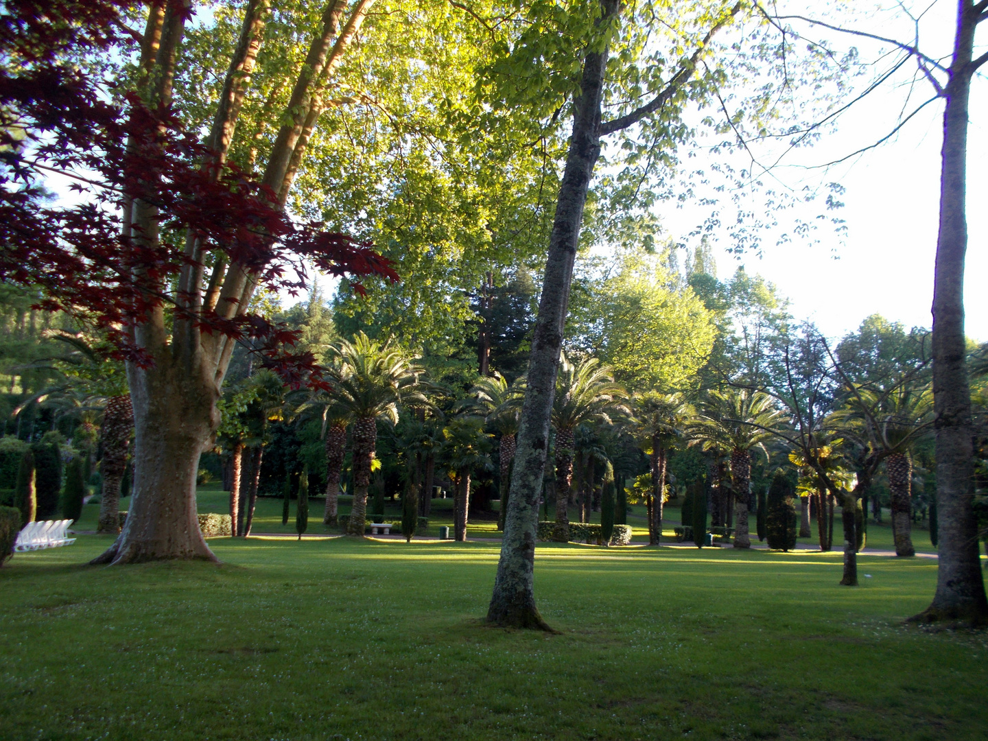 Le parc .... photo et image | europe, france, pyrénées Images fotocommunity