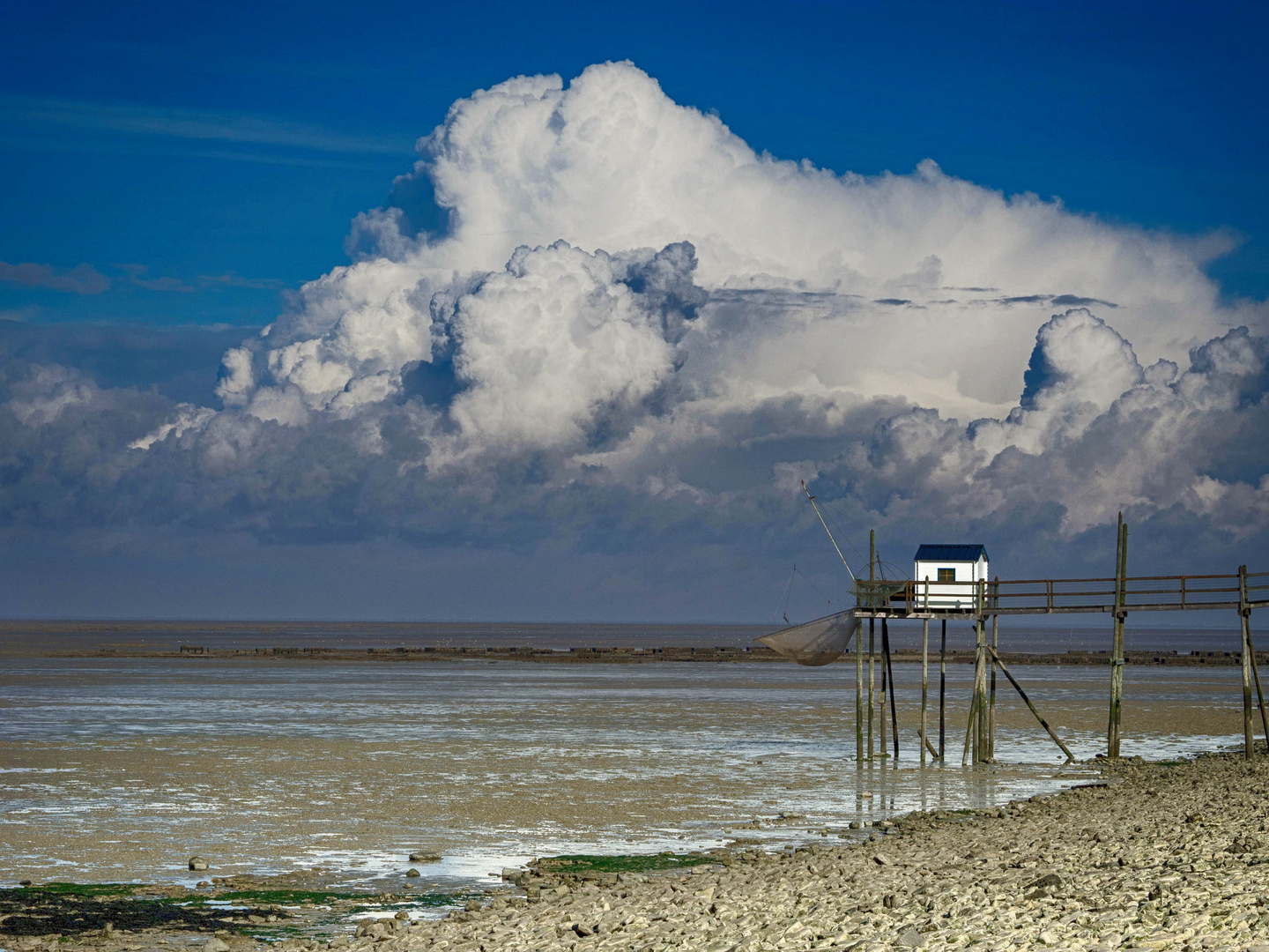 Le Pertuis breton (Charente Maritime). photo et image | paysages, mers ...