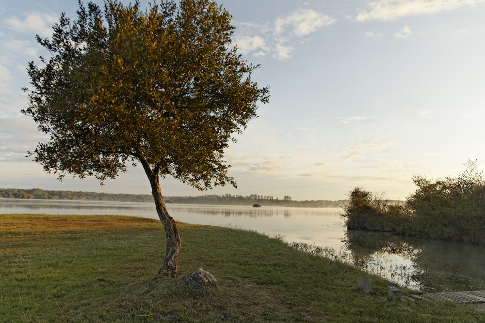le petit chêne !!! photo et image | paysages, lacs, rivières, cascades ...
