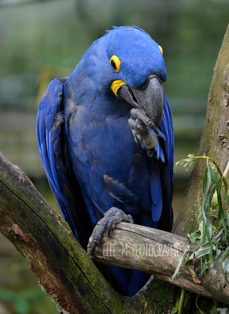 Le petit oiseau va sortir .... ! OUIC ! photo et image | animaux ...