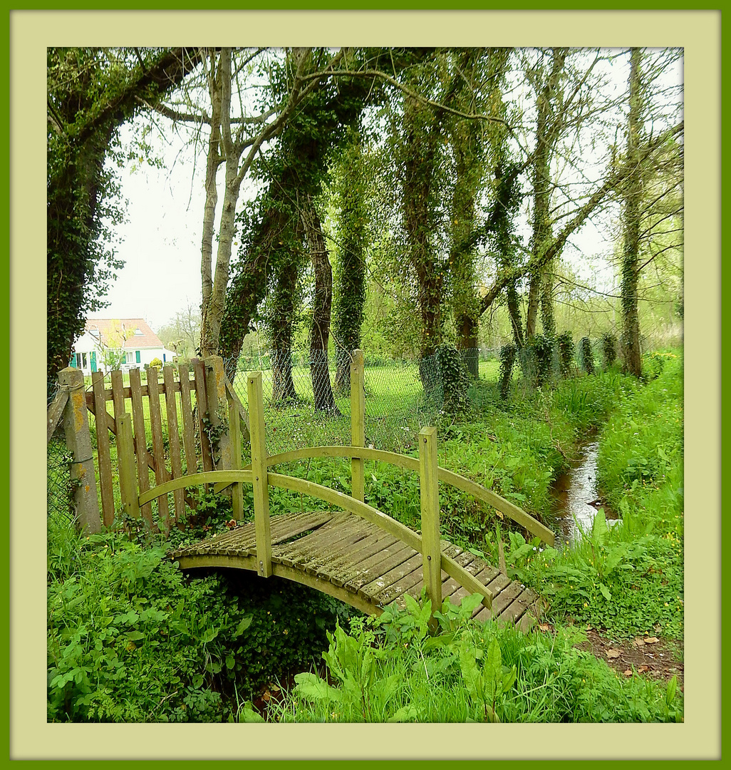 Le petit pont de bois photo et image | paysages, paysages de campagne ...