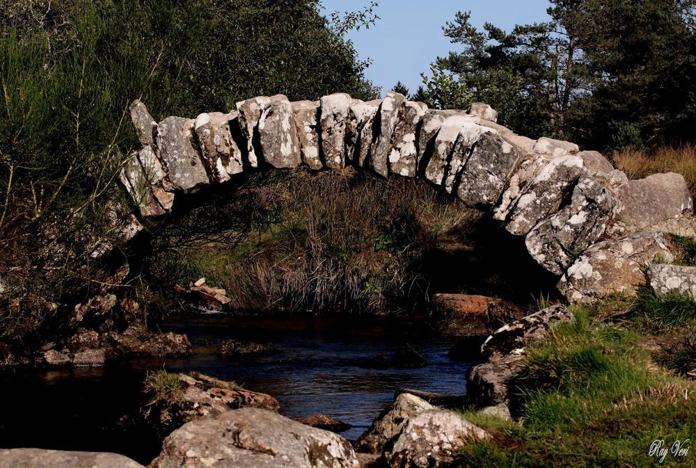 le petit pont de pierre photo et image | architecture, sous les ponts ...