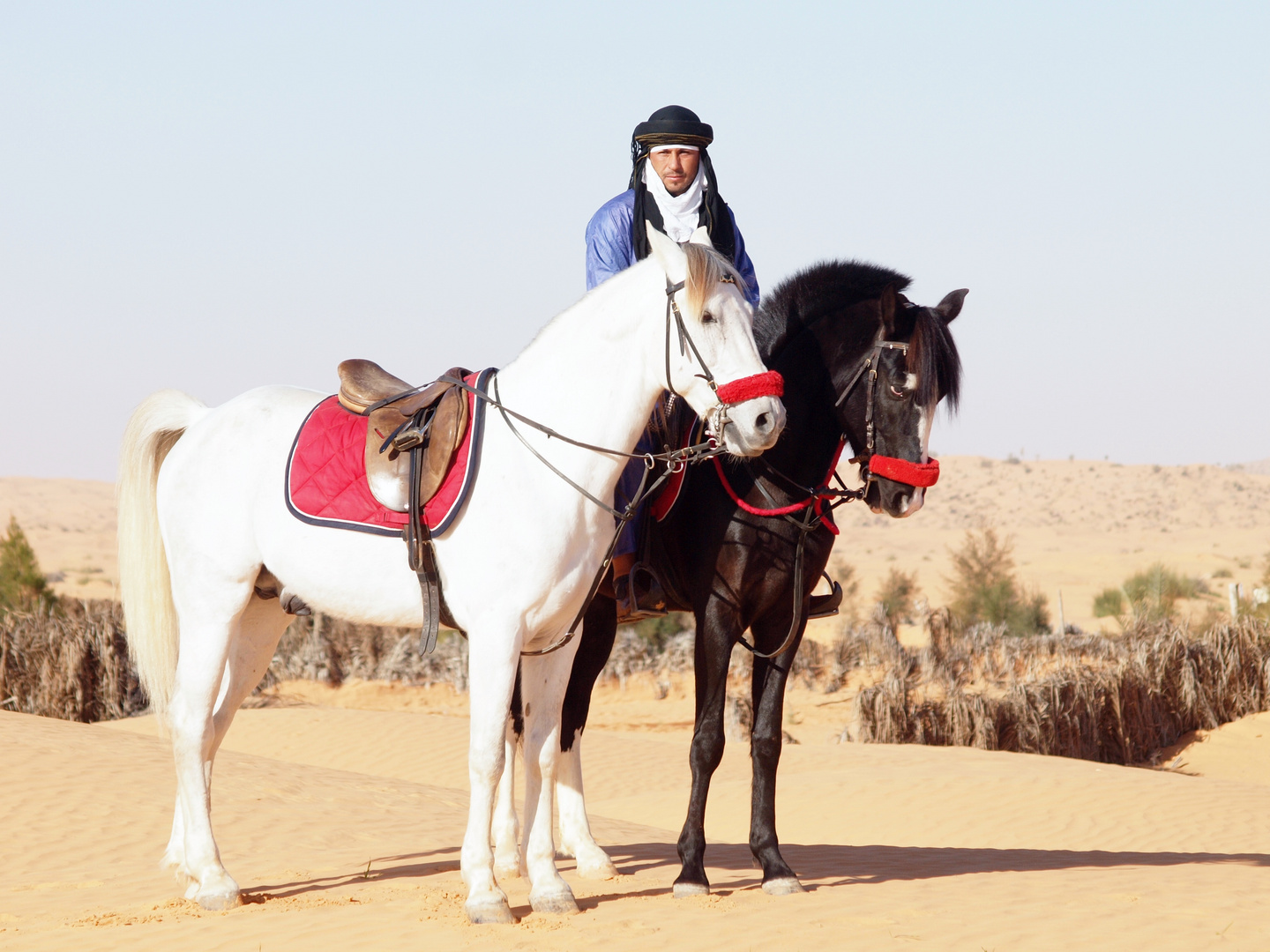 Le prince du désert de pierres (djerba) photo et image | cabourg ...