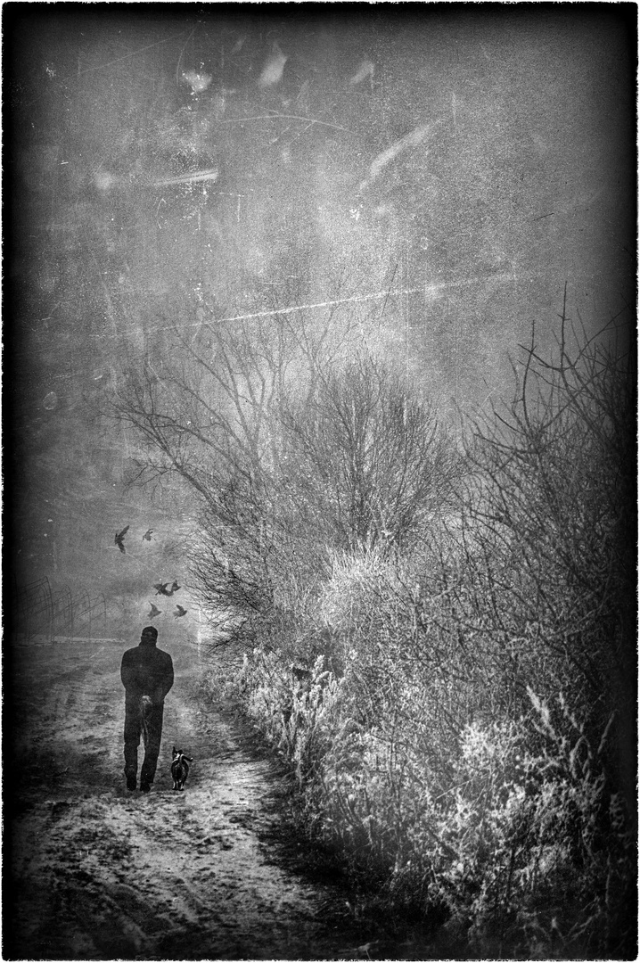 le promeneur et son chien Foto & Bild | street, outdoor, winter Bilder ...