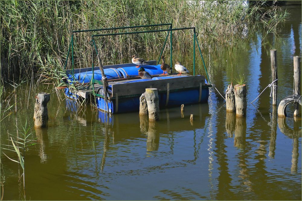 le radeau fabrication maison ..... Foto % Immagini| europe, italy ...