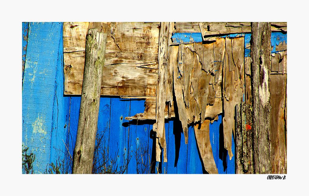 Le sort du bois... photo et image | visions, sujets, artistiques Images ...