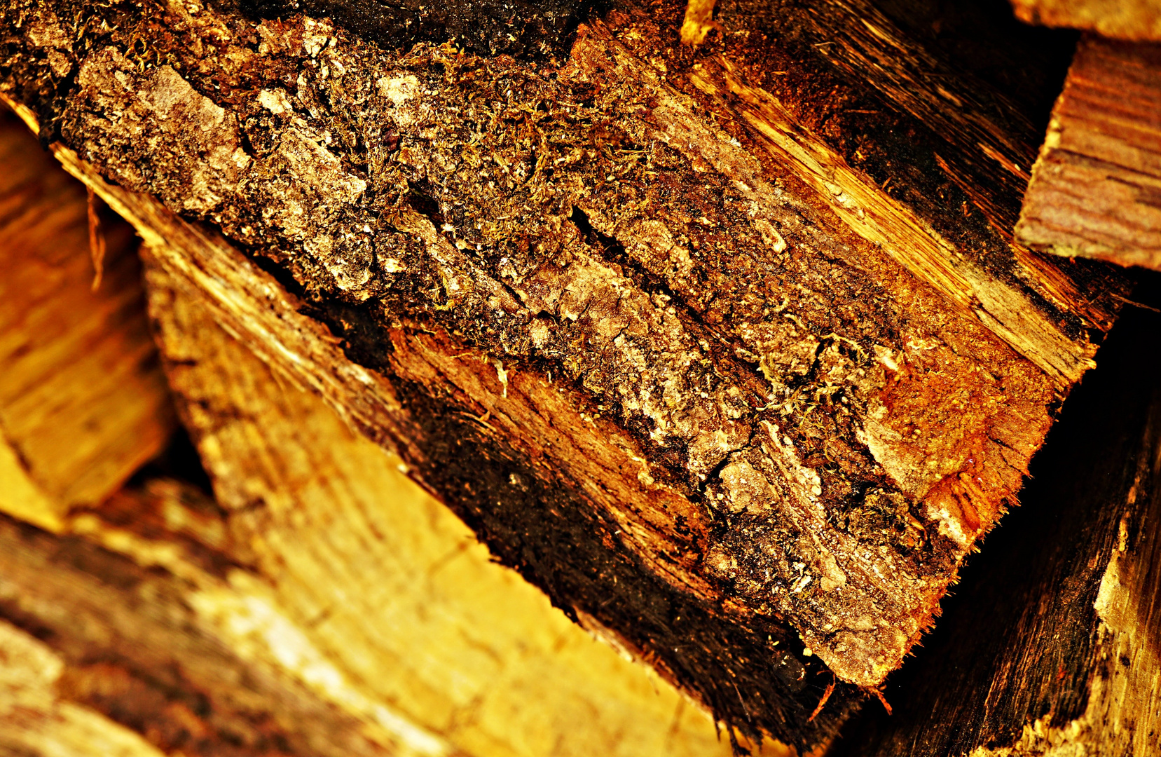 Le tas de bois.... photo et image | visions artistiques, jeu, spécial ...