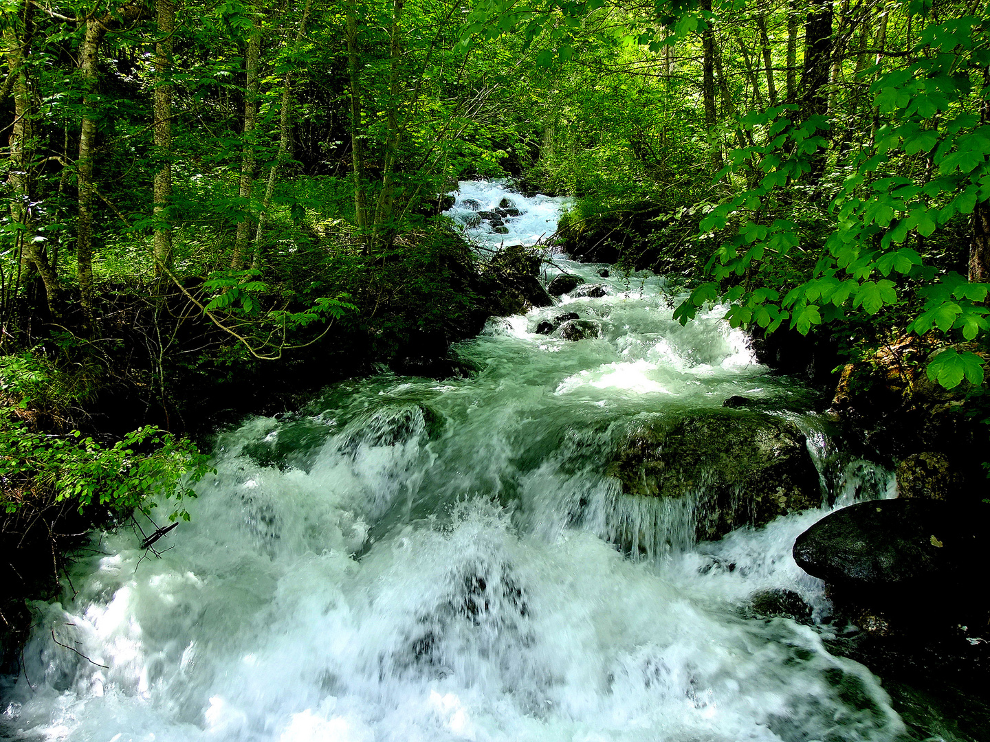Le torrent photo et image | paysages, paysages de montagne, les alpes ...